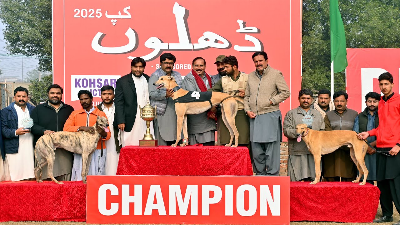 Prize Distribution Ceremony || Greyhound Race | DHILLON'S CUP 2025 ...