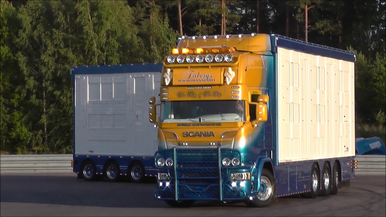 Friberg Djurtransport (Sweden) - YouTube