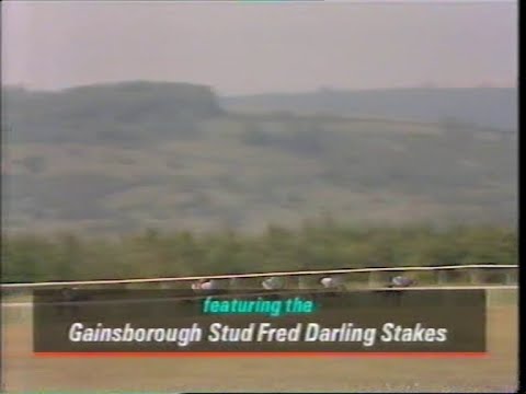 1993 Fred Darling Newbury The Queen Opens The New Stand. Whole Show ...