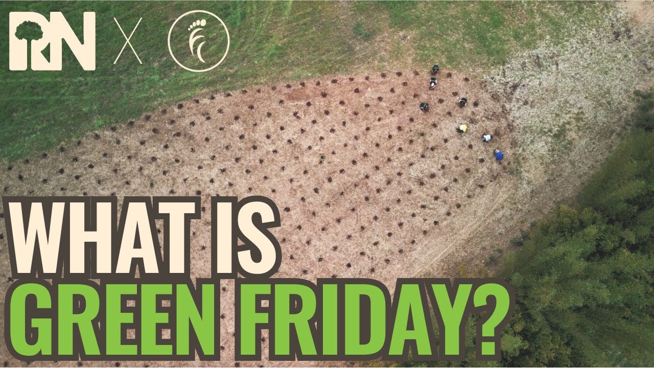 What Is Green Friday? - YouTube