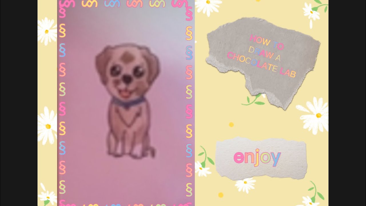 How to draw a chocolate lab - YouTube