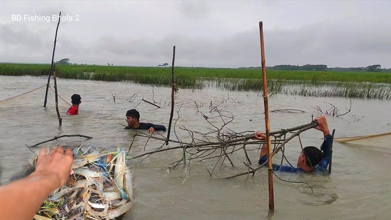Most Unique Fishing Culture in A Rainy Day||Jungle Fishing||Chingri ...