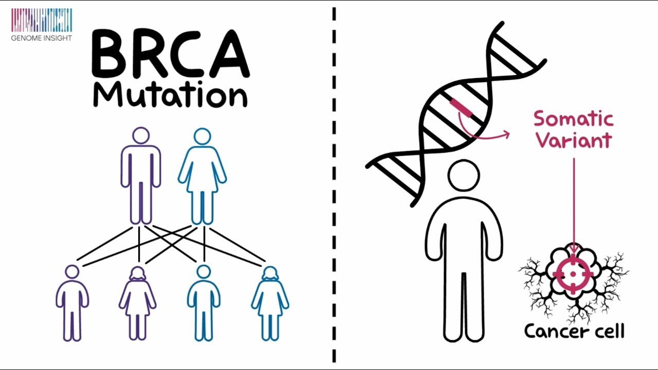 1. Germline Variant vs Somatic Variant - YouTube