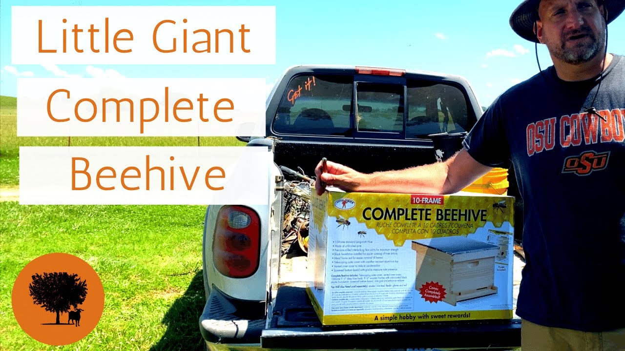 Unboxing the Little Giant Complete Beehive - YouTube