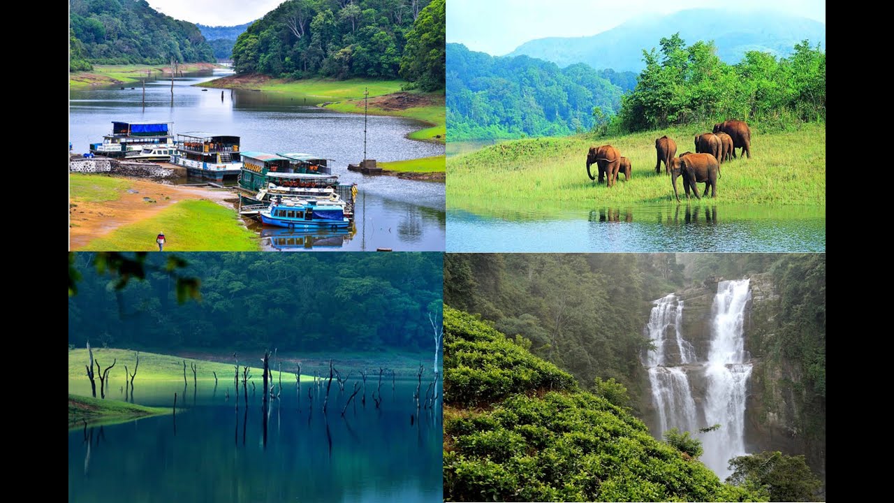 Thekkady 2024 Tour, Resort Life, Boat Safari, Kathakali, Kalari - YouTube