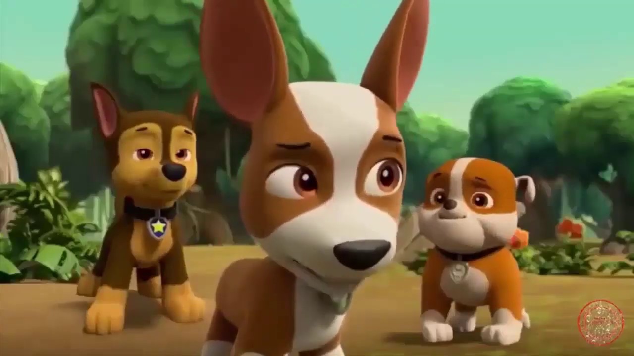 Paw Patrol Full Episodes A Day in Adventure Day Rescue | Chase 2 | Nick ...