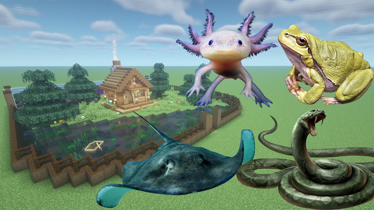 How To Make a Snake, Frog, Stingray, and Axolotl Farm in Minecraft PE ...