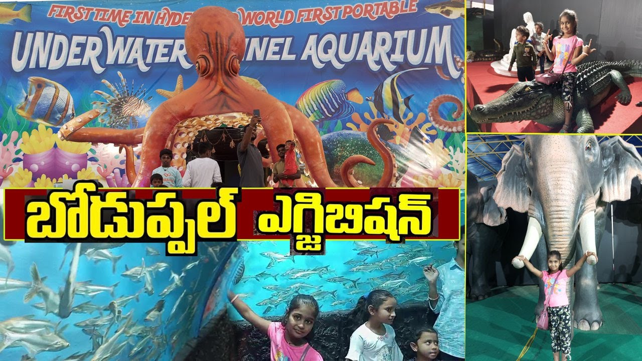 Boduppal Exhibition2024 II Under water tunnel fish aquarium boduppal ...