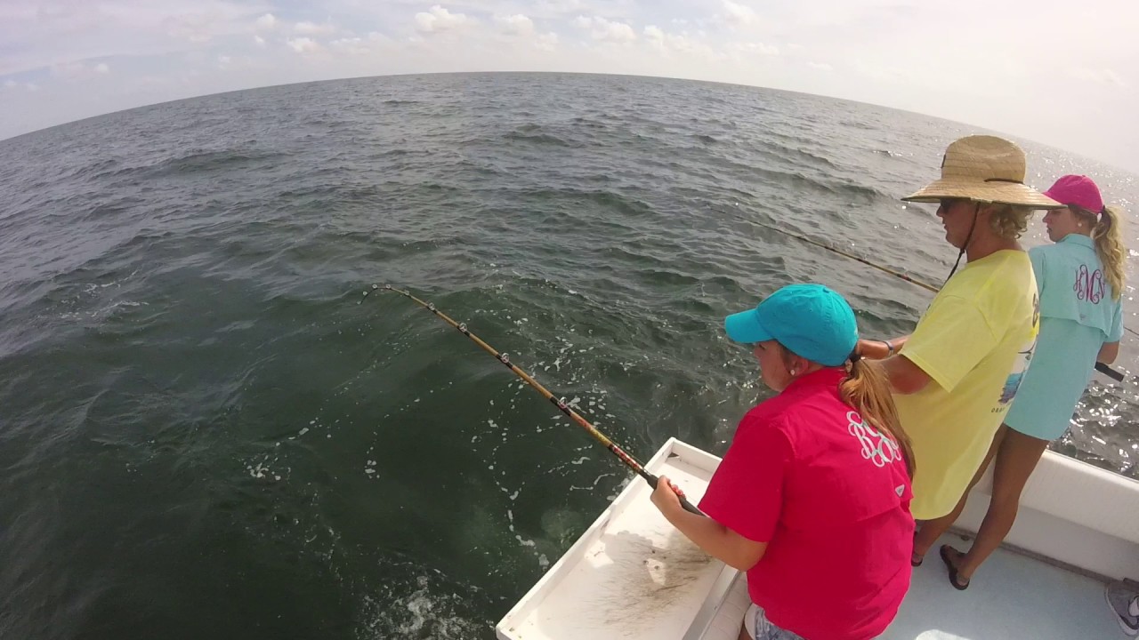 brooklyn fish 2016 - YouTube