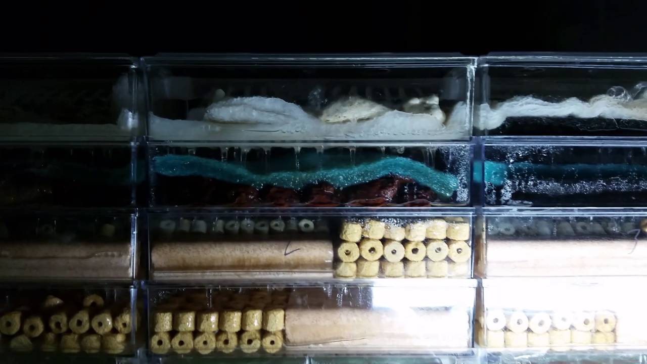 Trickle filter, overhead aquarium filtration - YouTube