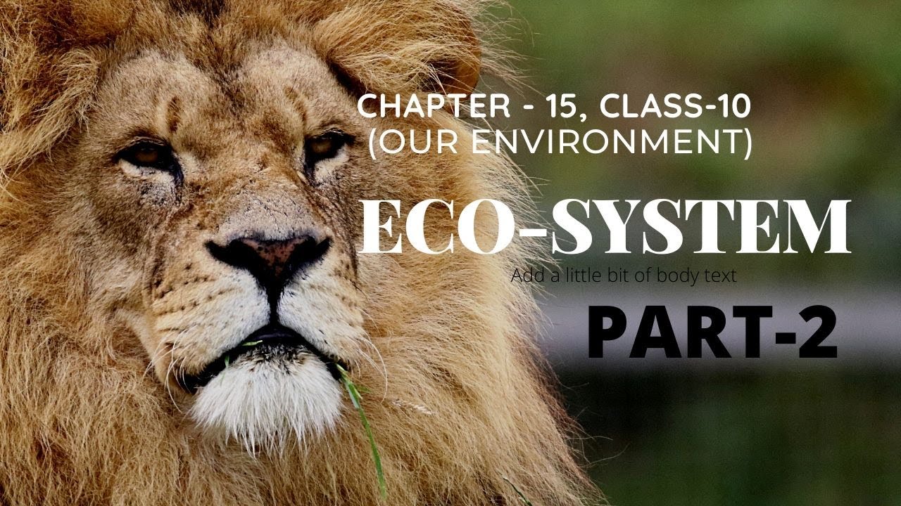 What Is An Ecosystem || Biotic and Abiotic Components || Class 10 || In ...