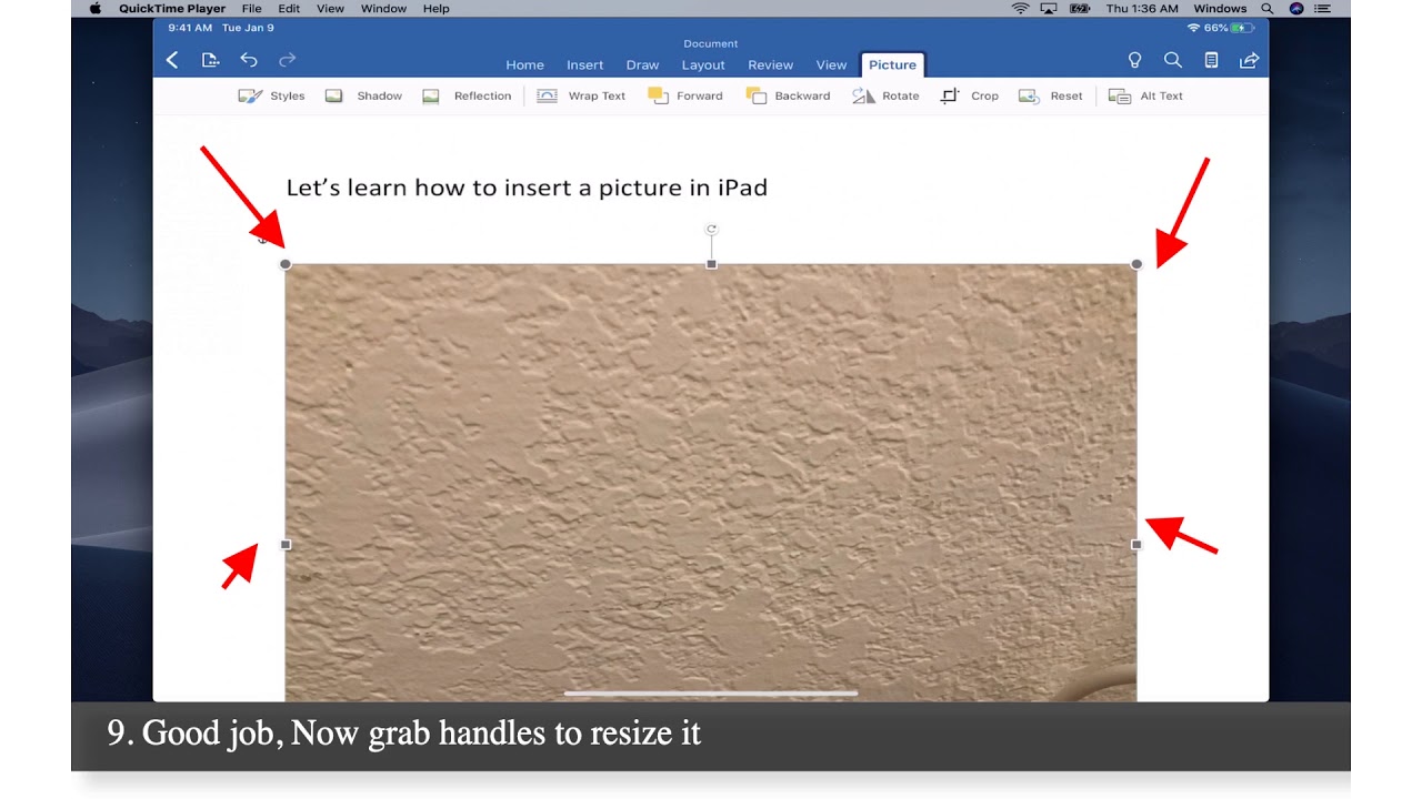 How To Insert Pictures From Camera And Gallery In IPad Word App YouTube how-to-insert-pictures-from-camera-and-gallery-in-ipad-word-app-youtube