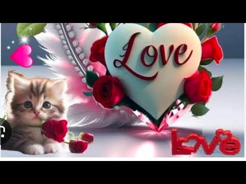 Beautiful lovely love greetings🌷 sweet beautiful whatsapp status video 💜 2026