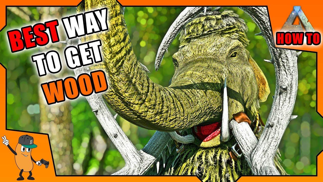 QUICKEST WAY TO GET WOOD Beginners Guide To Ark How To Ark YouTube quickest-way-to-get-wood-beginners-guide-to-ark-how-to-ark-youtube
