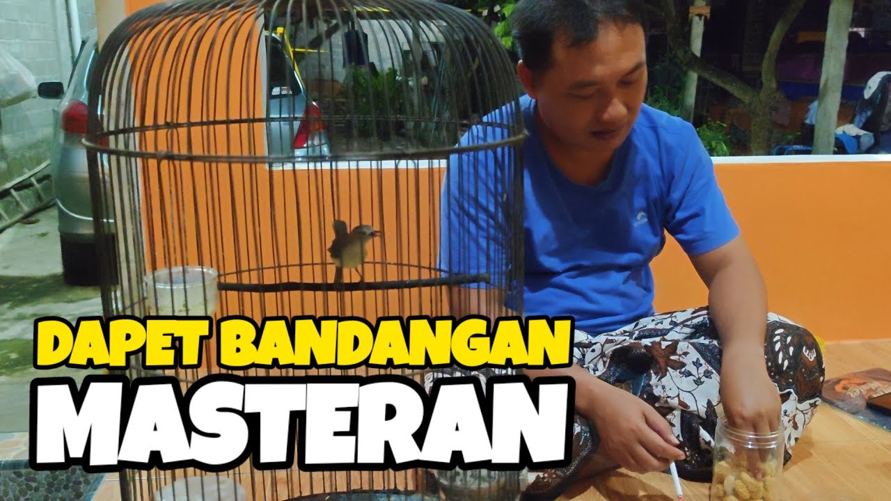 DAPET BANDANGAN MASTERAN KONSLET - YouTube