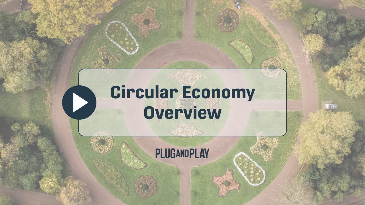 Circular Economy Overview from Alexandra Pine | Plug and Play Tech ...
