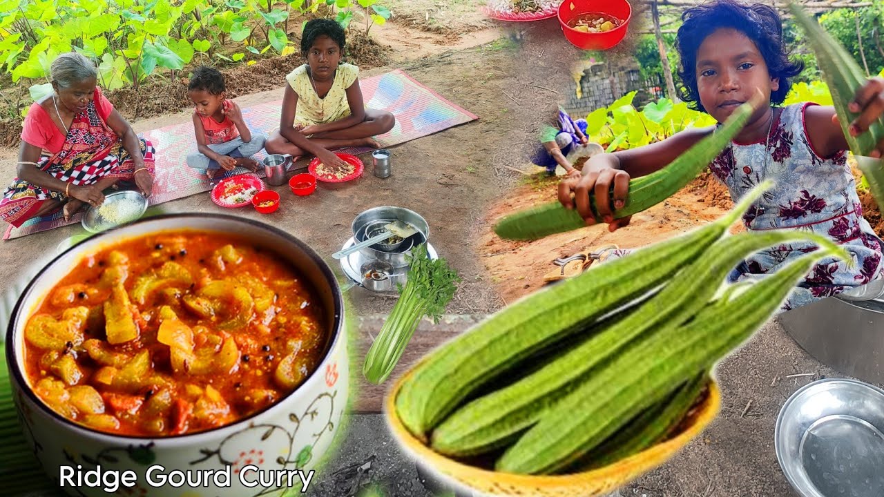 Ridge Gourd Recipe |Janhi Cooking and Eating Village Style |Rural life ...