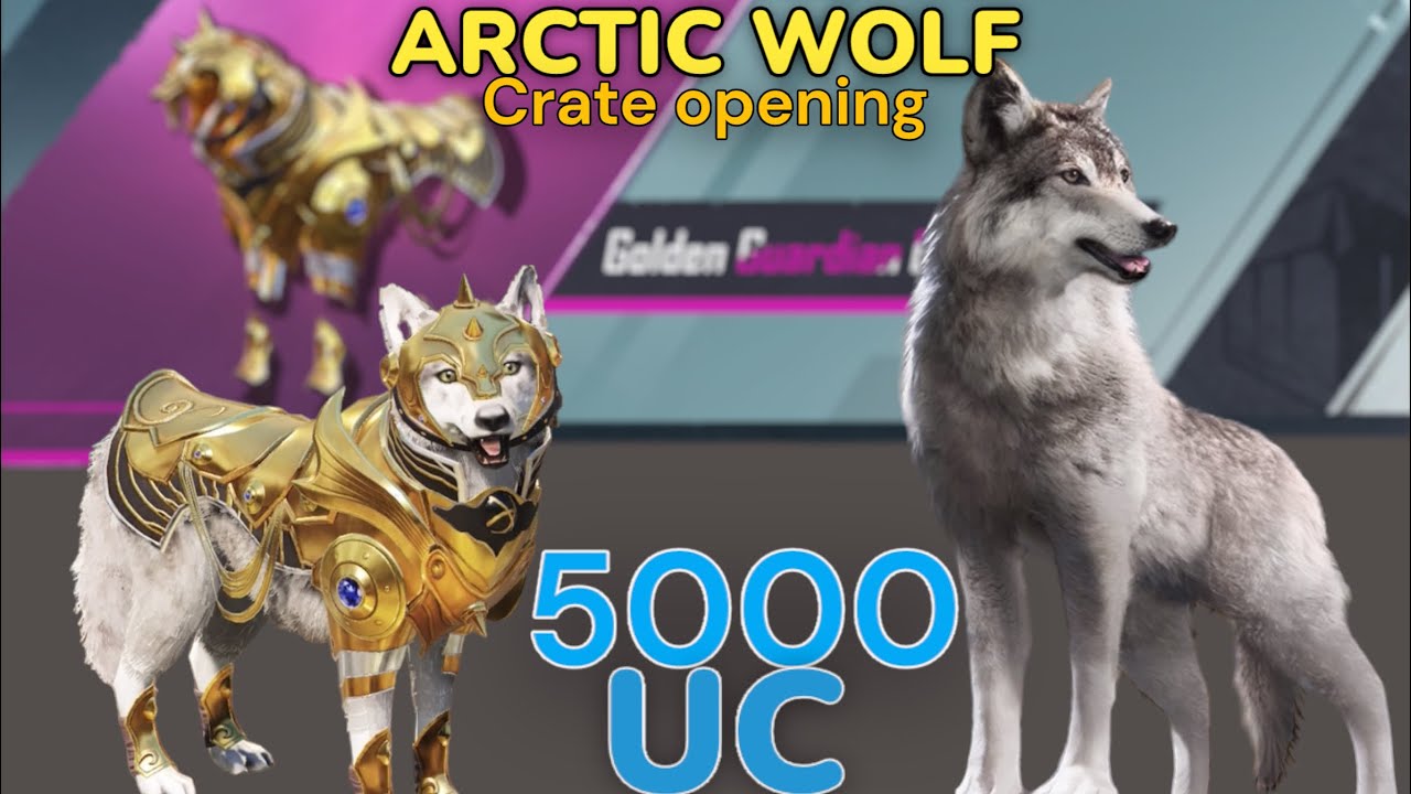 PUBG Mobile crate opening - ARCTIC WOLF 5000 UC / تفتيح بكج رفيق الذئب ...