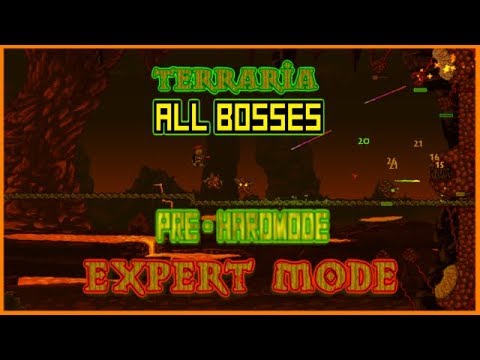 All Terraria bosses on expert mode (pre-hardmode bosses) - YouTube