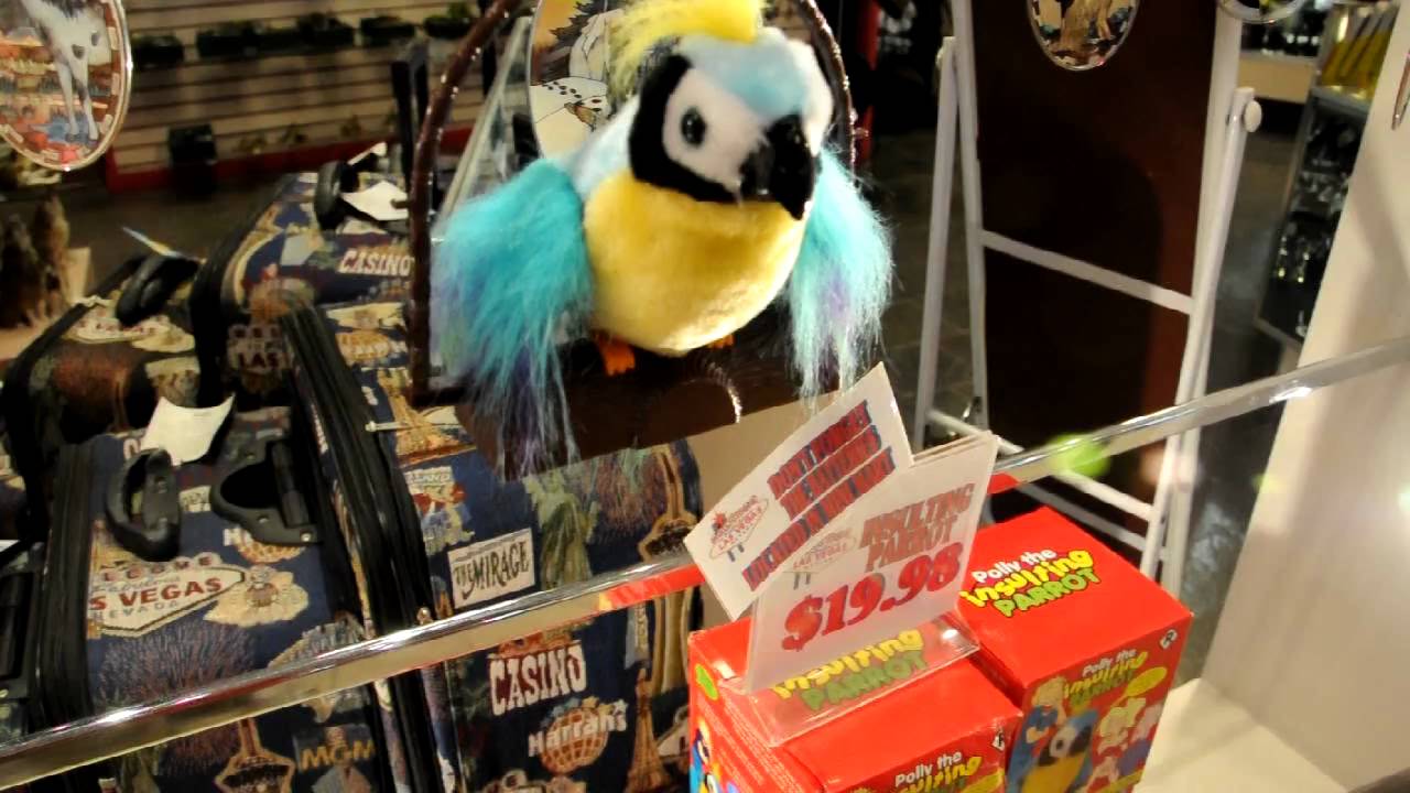 Polly the rude parrot - YouTube