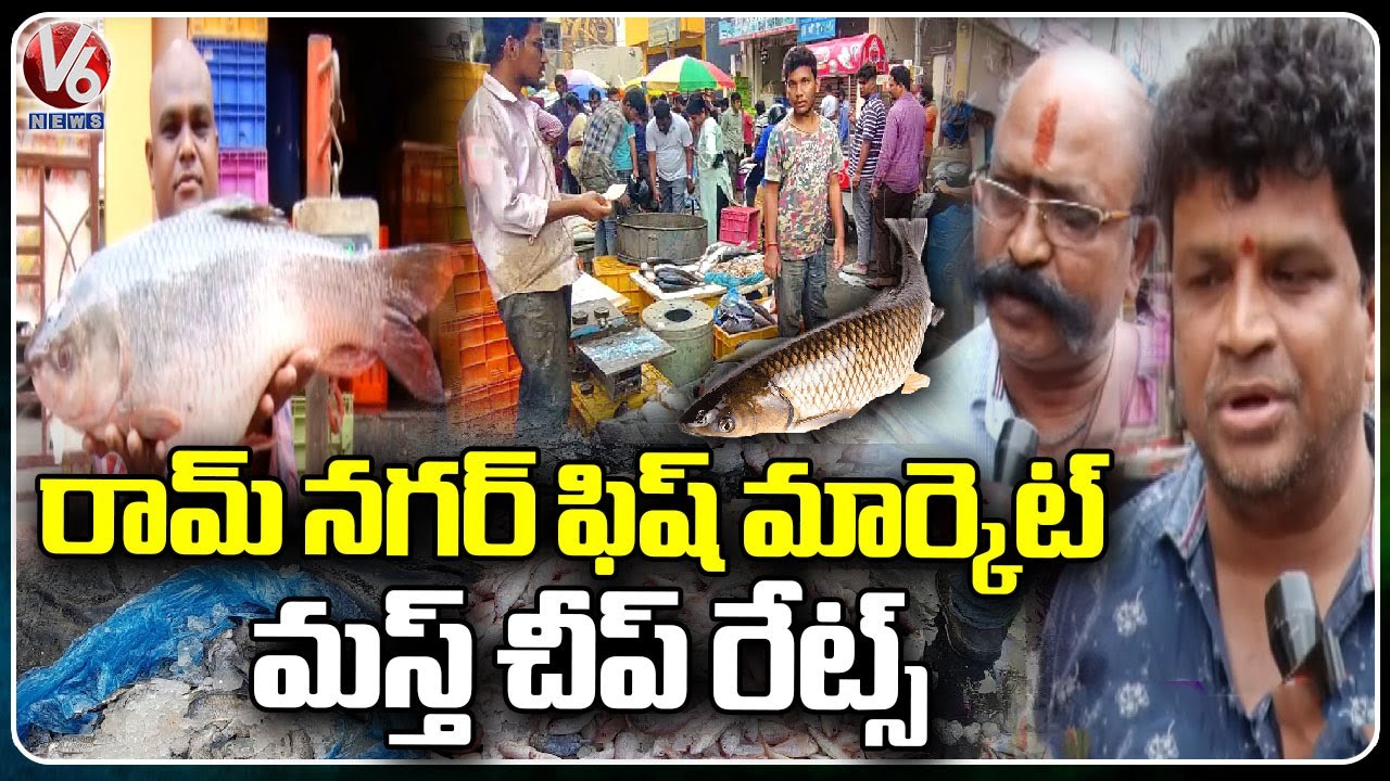 Ground Report: Fish Sales At Ramnagar Fish Market | V6 News - YouTube