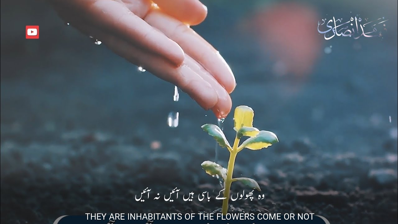 Beautiful Islamic WhatsApp Status | Chalo Dil Lagaye | There Is Neither ...