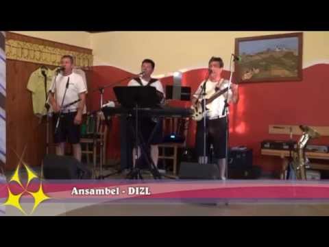 Ansambel DIZL
