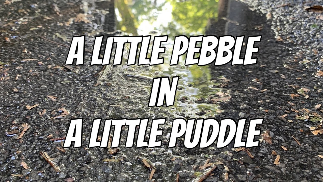 A Little Pebble in a Little Puddle - YouTube