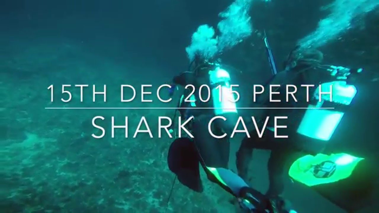 Shark Encounter Perth Australia - YouTube