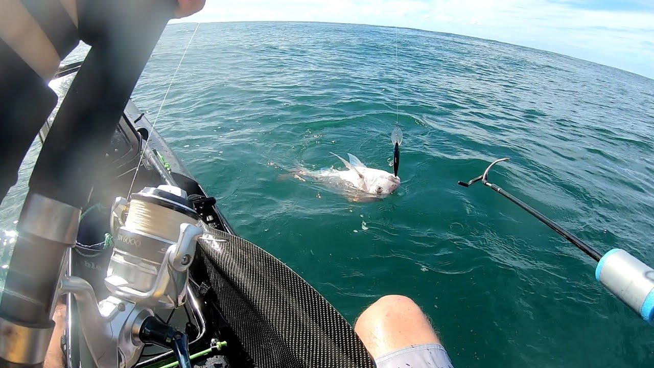 Snapper caught on Nomad DTX140 - YouTube