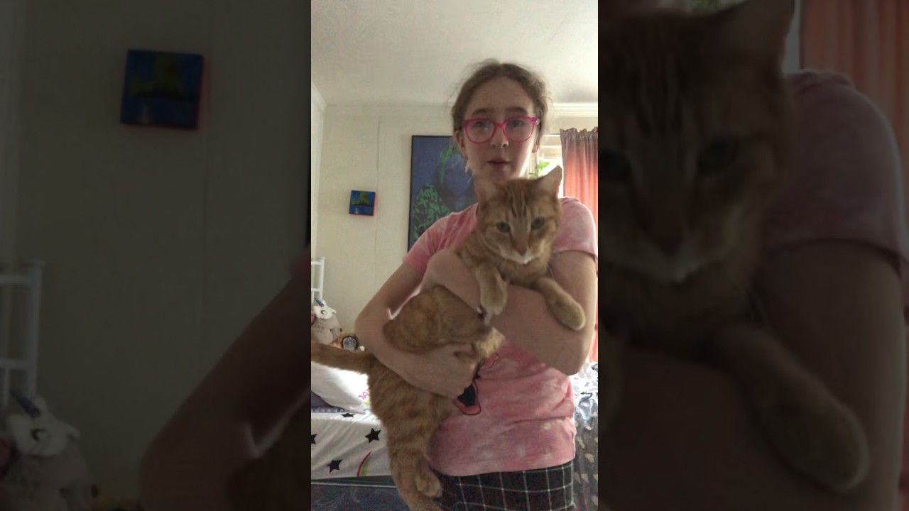 How many dances do you know with Tibbs - YouTube