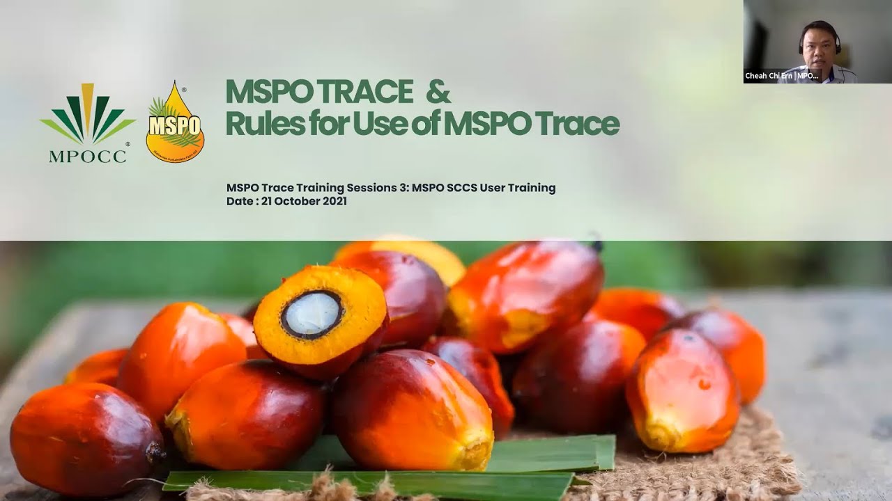 MSPO Trace Updates Training for MSPO SCCS User - YouTube