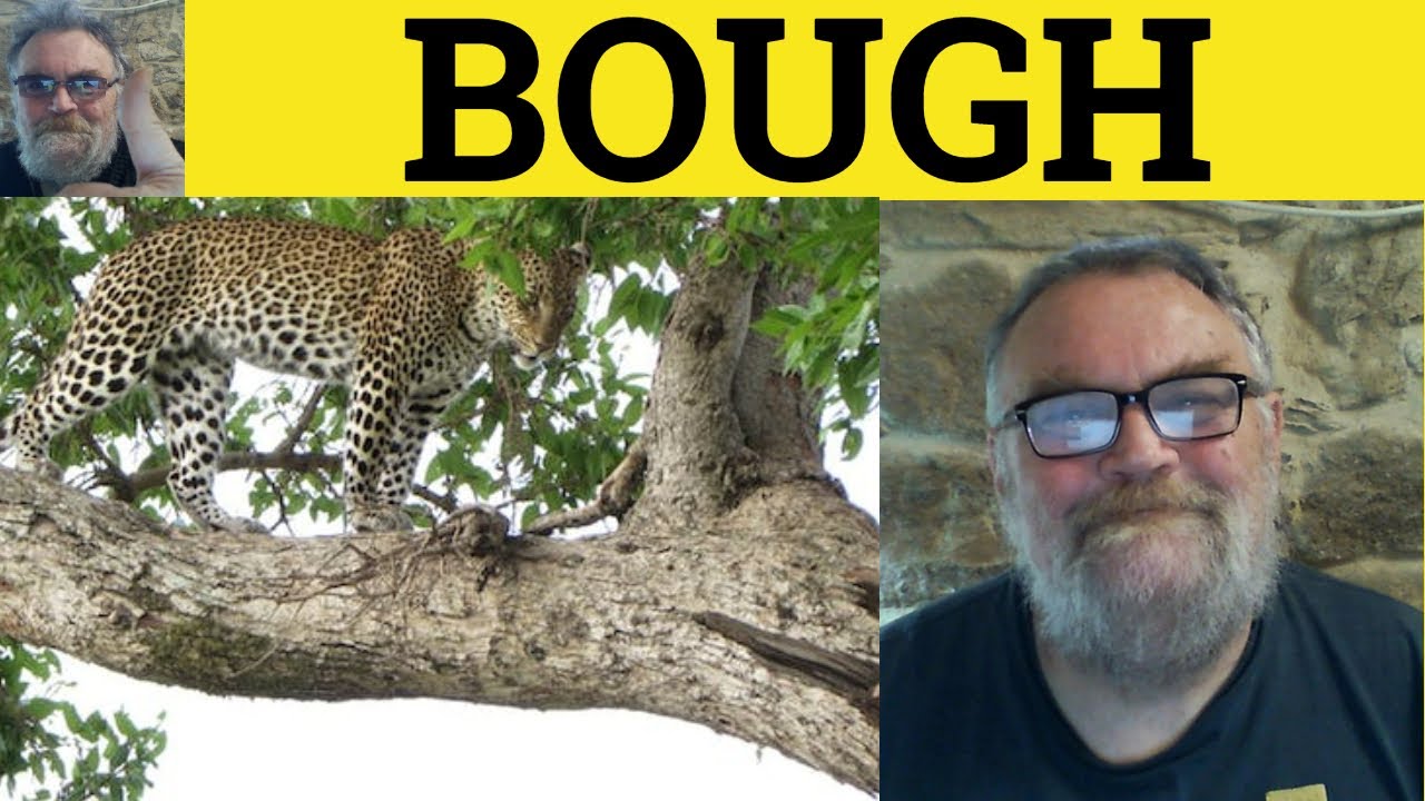 🔵 Bough Meaning - Bough Definition - Bough Examples - CAE Nouns - Bough - YouTube