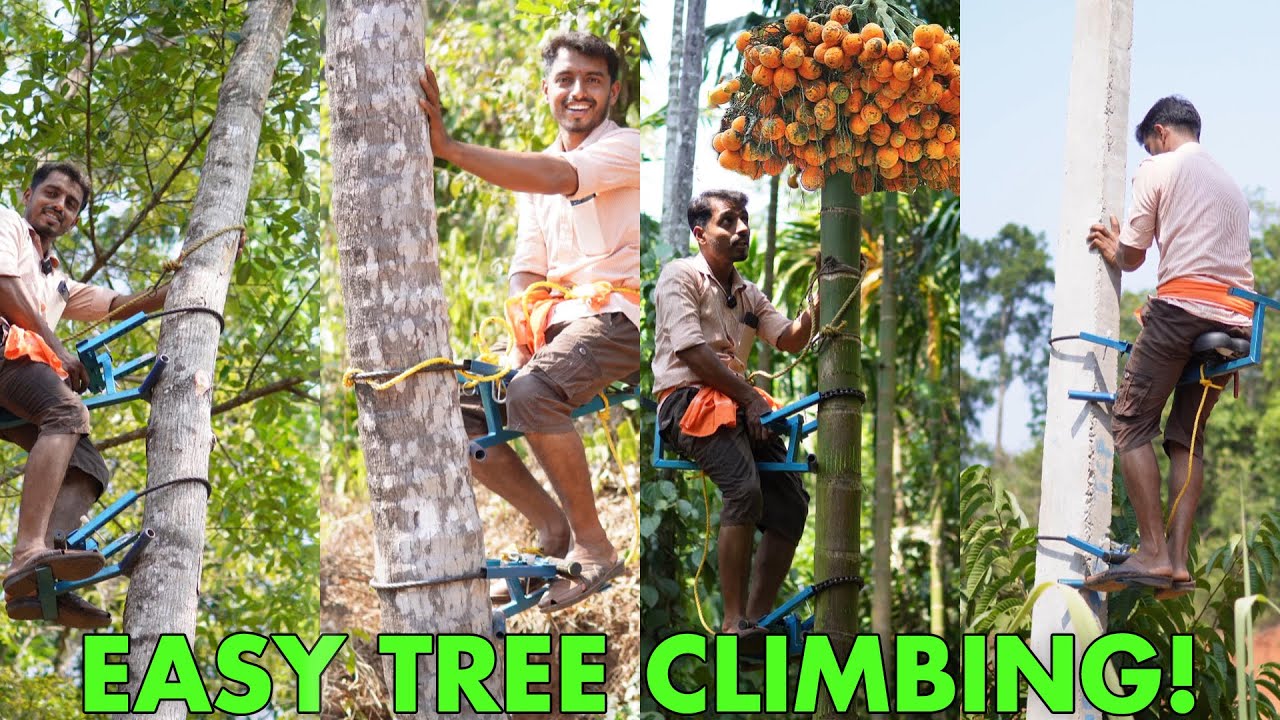 Tree Climbing Machine | Innovative Techniques For Climbing And ...