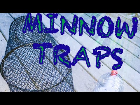 Two different ways to make minnow traps - YouTube