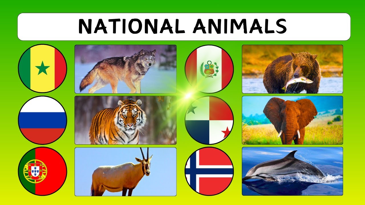 National Animals of 195 Countries | Countries, Flags, and Their Amazing ...