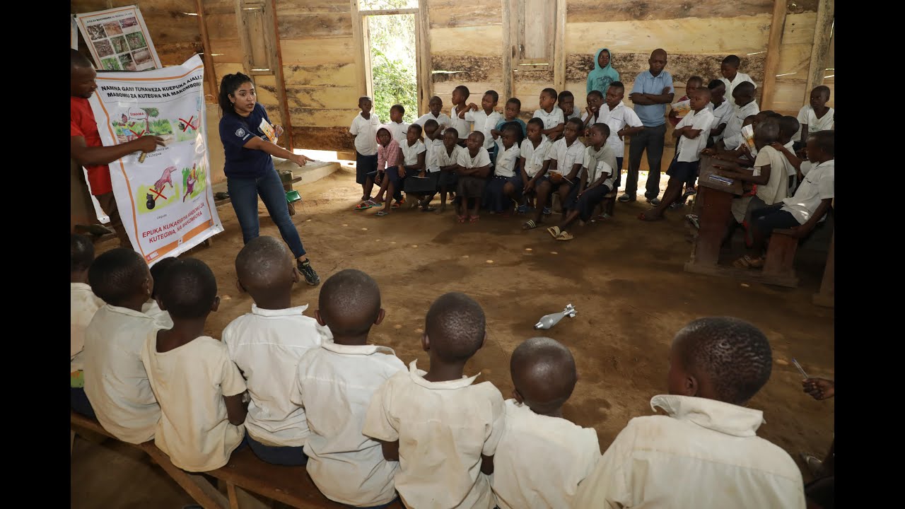 Mine Action: Consultations on Mine Action AoR Guidance Requirements ...