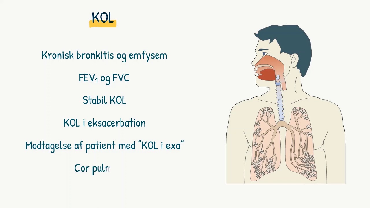Respirationssystemet: KOL - YouTube