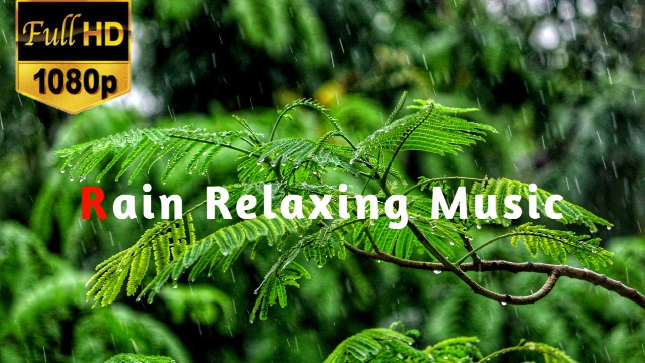Beautiful Rain Relaxing Music (no instrument) | Rain Soothing Music ...