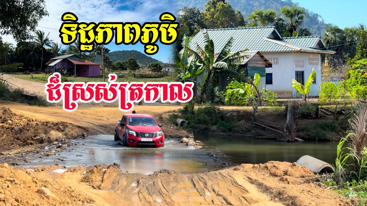 ទិដ្ឋភាពយ៉ាងស្រស់ត្រកាលតាមផ្លូវទៅកាន់ផ្កាព្រៃរីស៊តស្រុកសំឡូតខេត្តបាត់ដំ ...