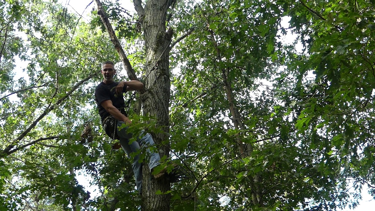 First impressions predator platform, installing it using DRT climbing ...