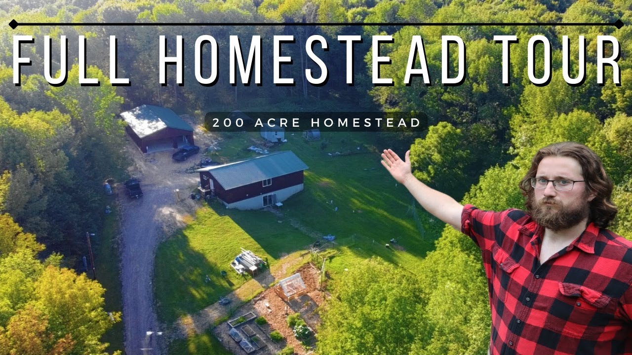 Late Summer Homestead Tour │ Garden, Food Forest, Chickens, Blueberry ...