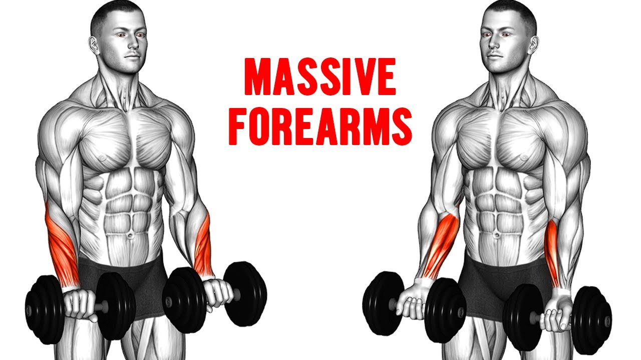 Massive and Veiny Forearms: 8 Minute Veiny Arms Routine - YouTube
