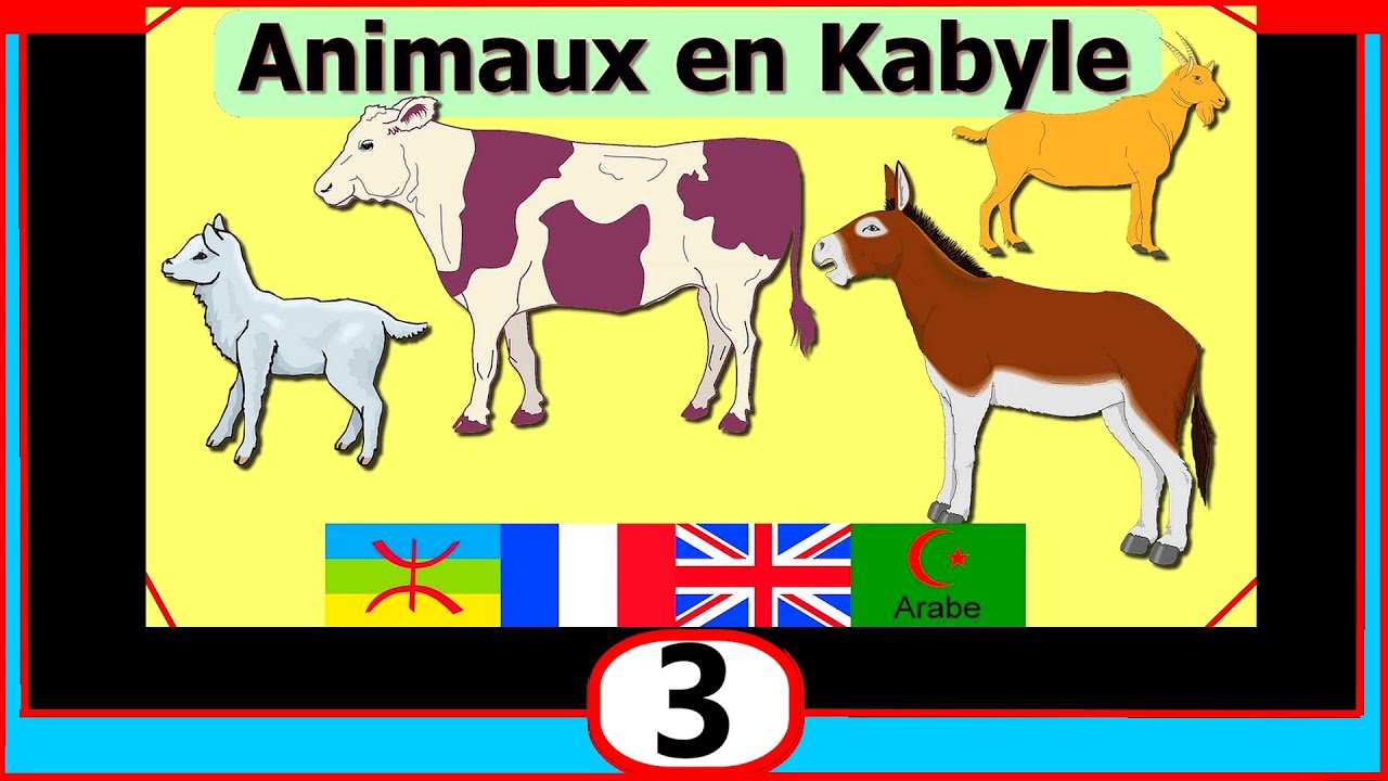 Animaux en kabyle français anglais arabe, vidéo 3 - YouTube