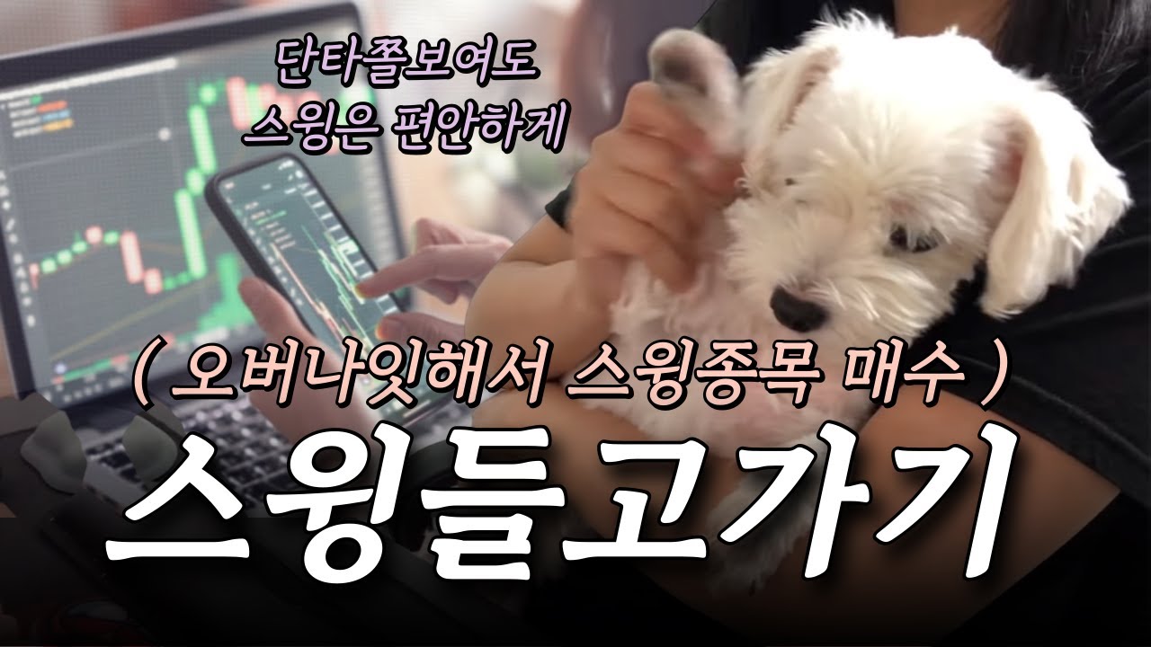 ๐vlog์ค์ ์ค๋ฒ๋์ ์นํจ ๋ก๋ณถ์ด ํผ์ ์ด์ฐ๋๊ฑฐ ๋ค๋จน๋ ๋ผ์ง๋ฐ ์ผ์ ์ ์
ํฌ์์ ํธ๋ ์ด๋์ ์ถ ํ์ด์ด์กฑ ์ฃผ์์๋ฏธ์น๋์ฌ๋๋ค