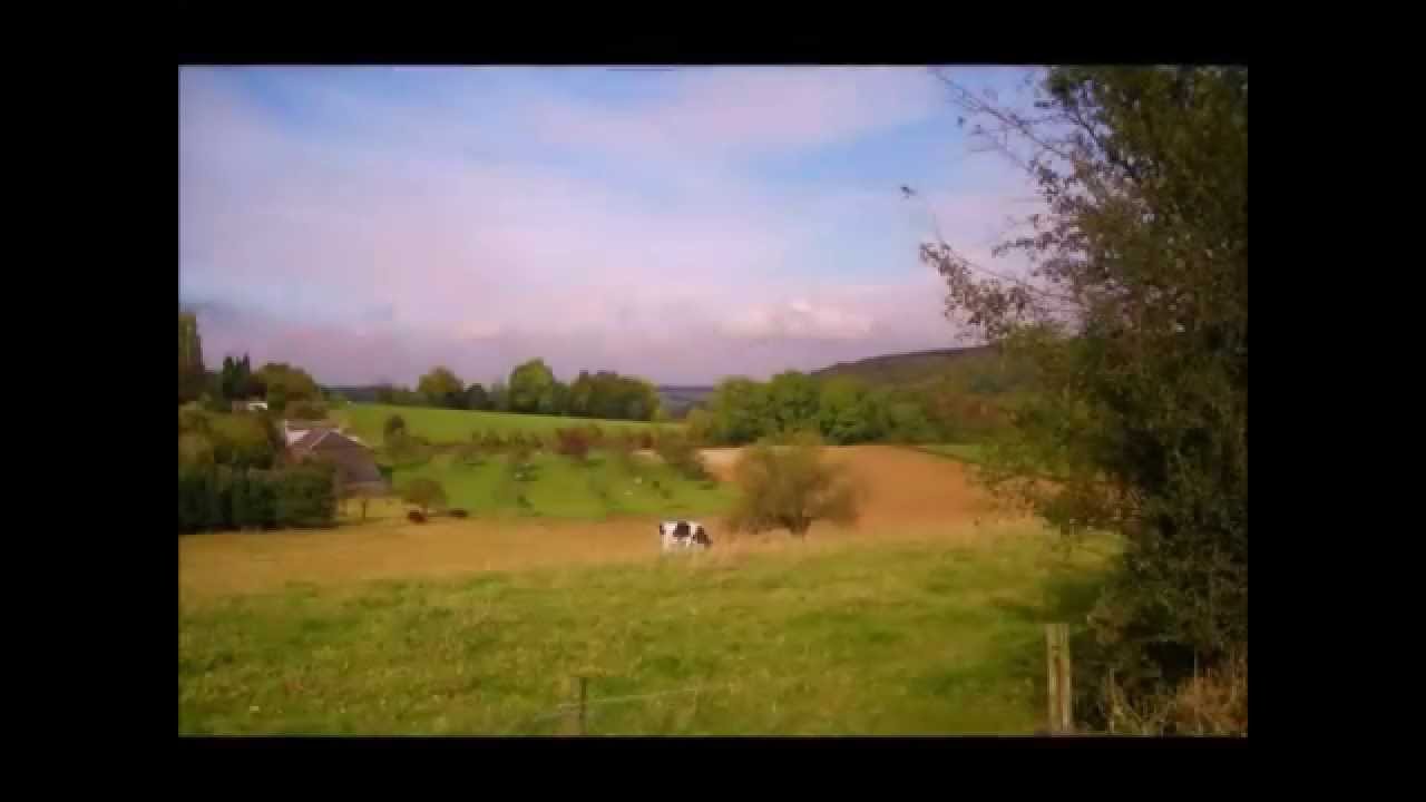 Fiverr Proofreading Gig Sherrycz - YouTube