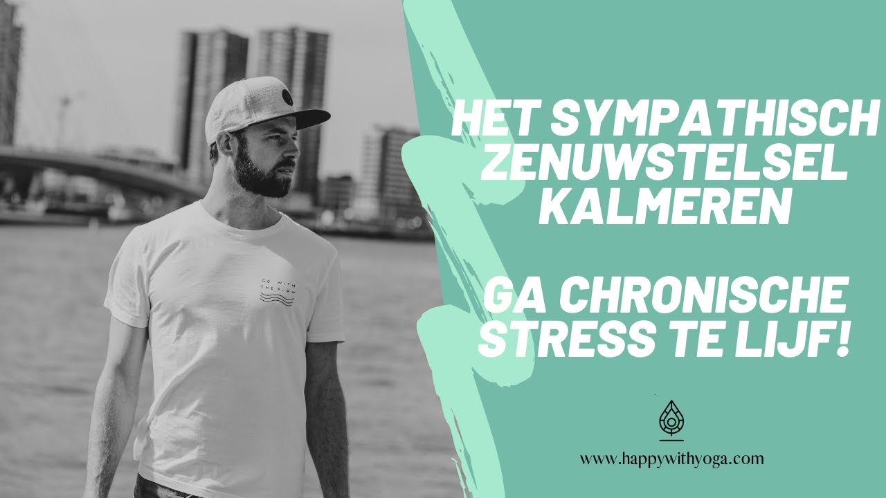 HET SYMPATHISCH ZENUWSTELSEL KALMEREN - ga chronische stress te lijf ...