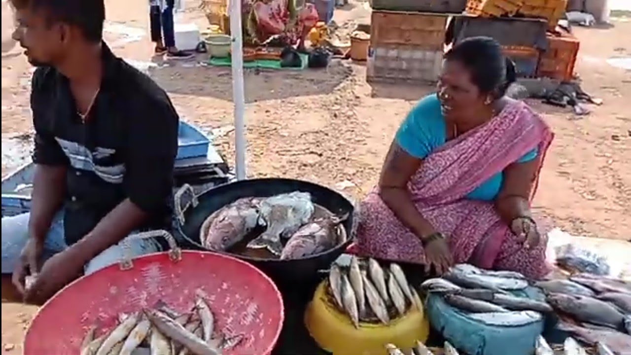 ಹೊನ್ನಾವರ ಫಿಶ್ ಮಾರ್ಕೆಟ್ honnavar fish market - YouTube