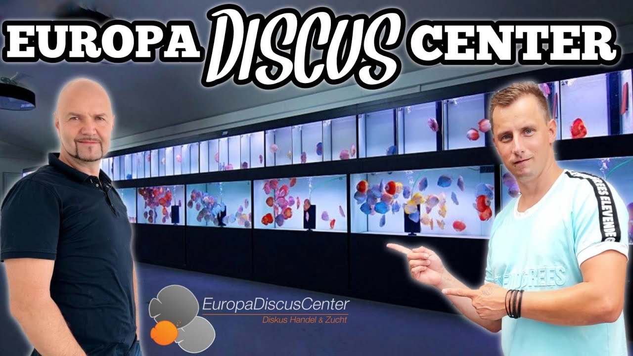 FANTASTIC DISCUS FISH PLANT I Visiting Europa Discus Center - YouTube
