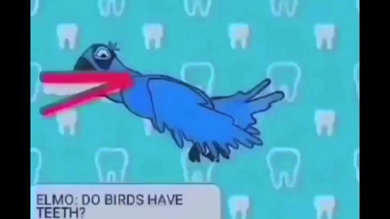Elmo world quiz teeth - YouTube